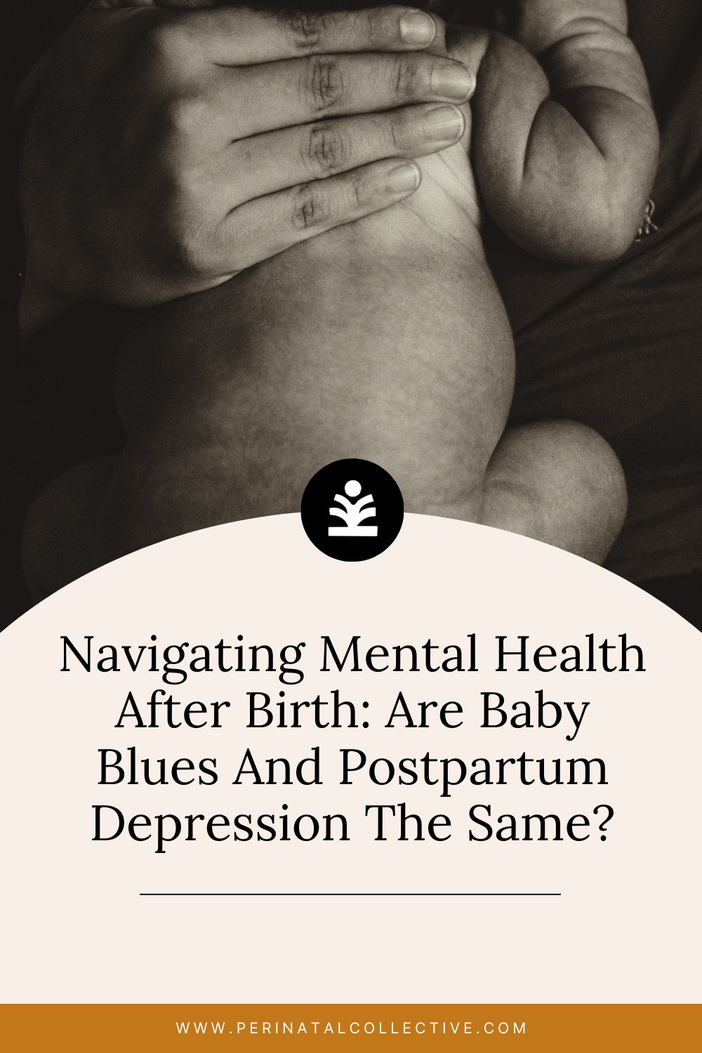 Are Baby Blues And Postpartum Depression The Same? | Baby Blues Vs. PPD